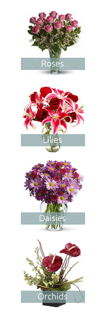Flowers Wichita Kansas 🏵️ Feb 2026